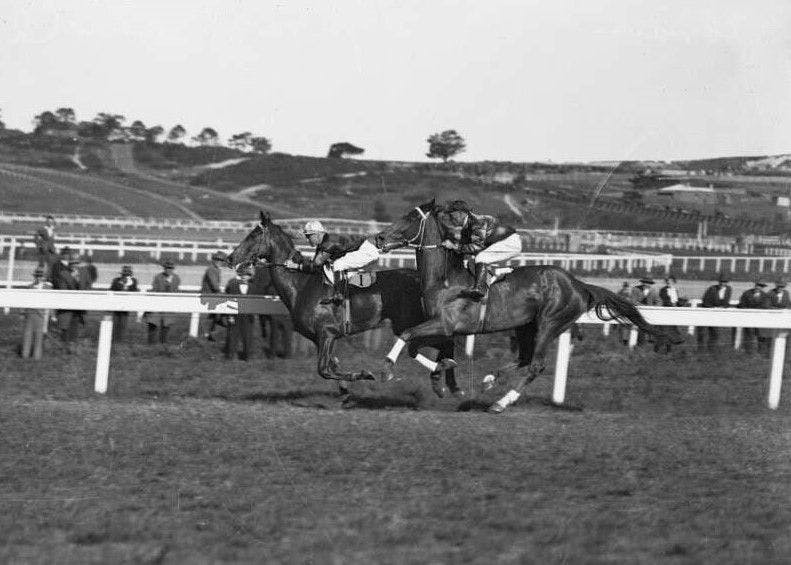 True Crime in Horse Racing: Phar Lap | TwinSpires