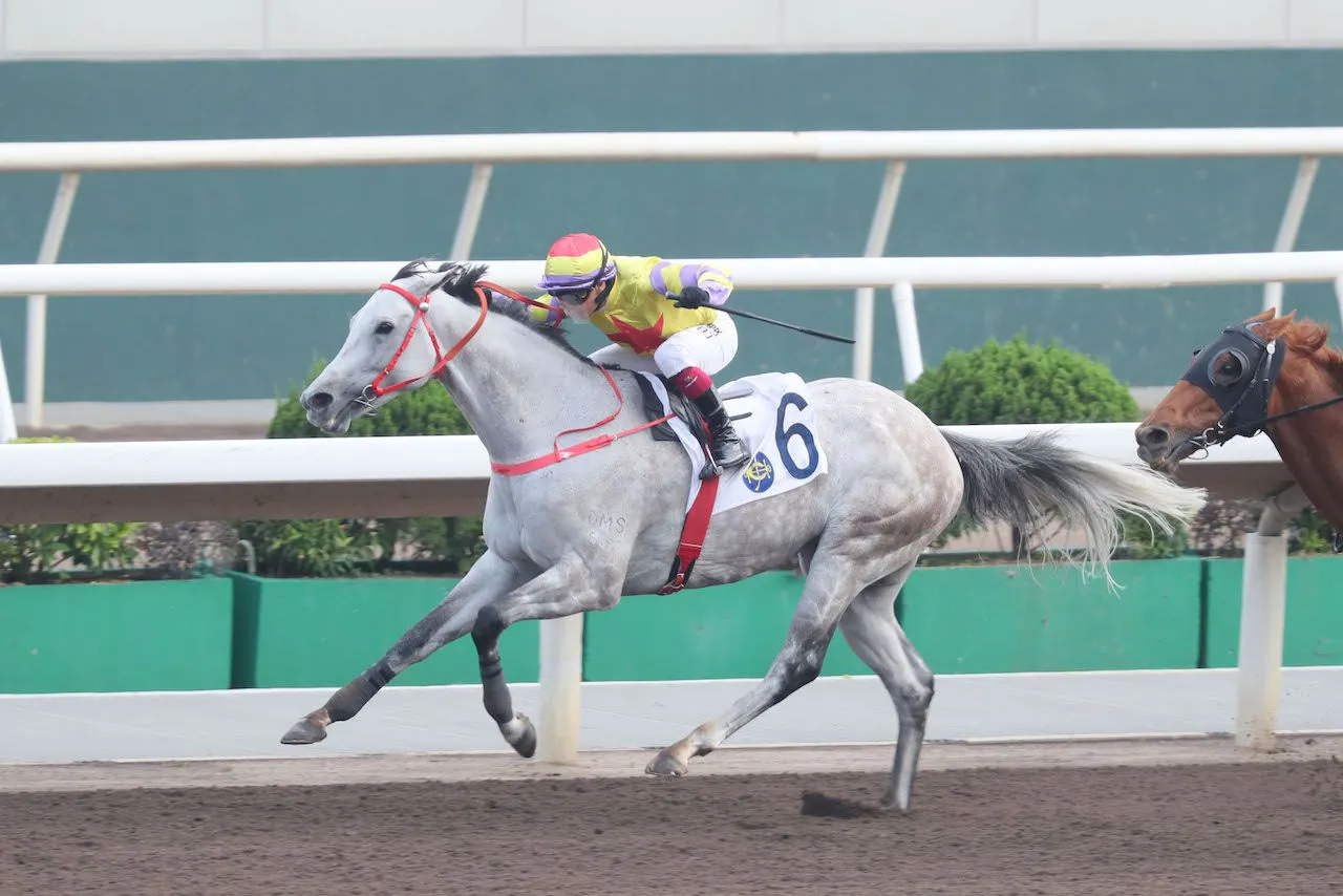 Ping Hai Galaxy packs larger impost for Sha Tin feature | TwinSpires