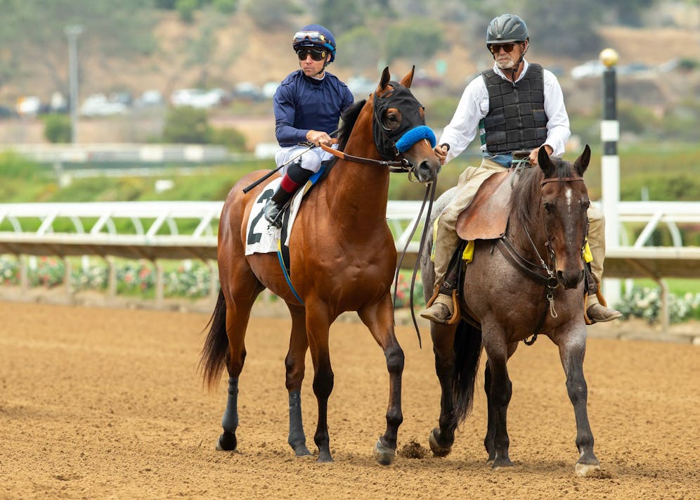 Meet the Contenders: 2026 Robert B. Lewis Stakes | TwinSpires