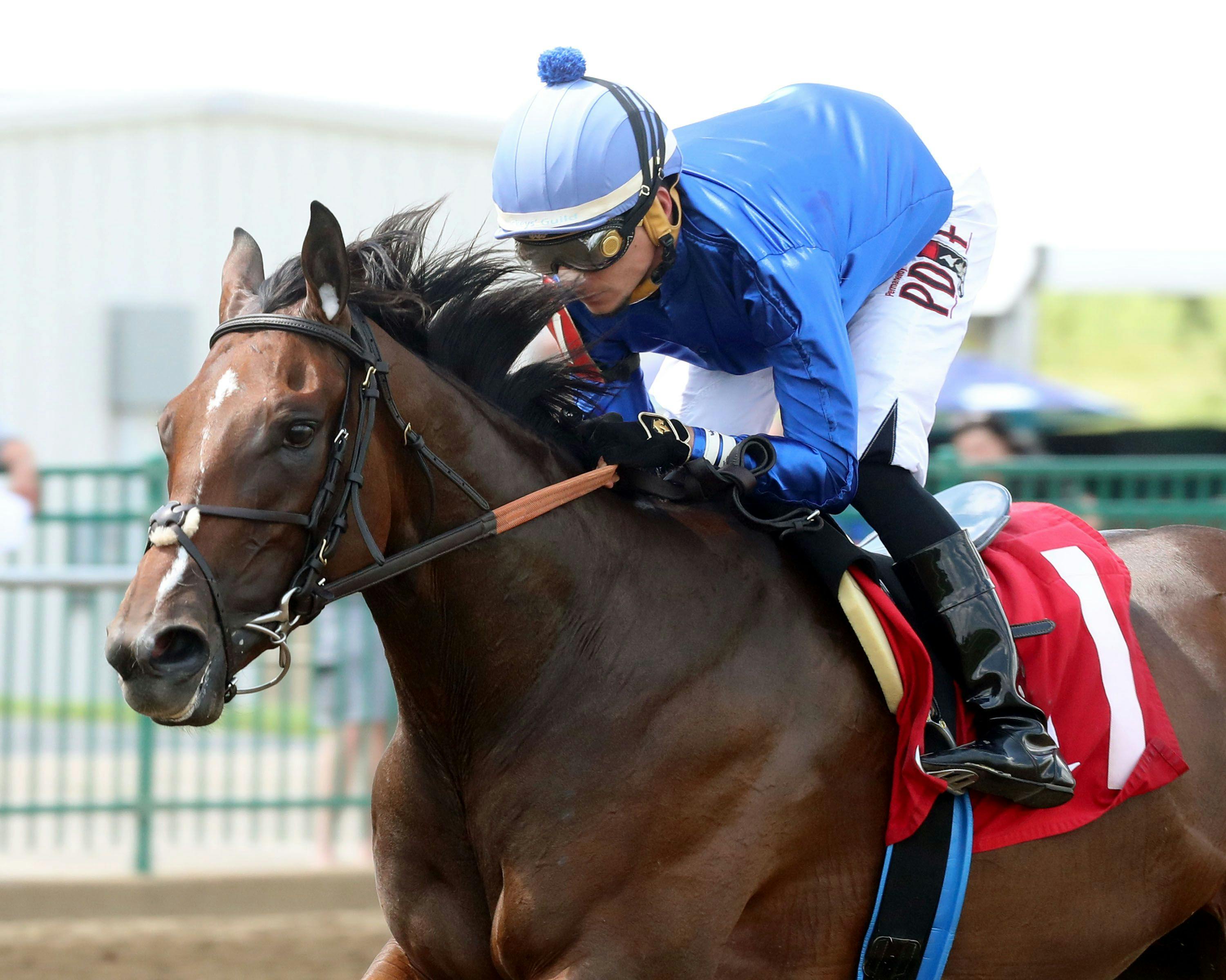 Scully: Singles bookend Pick 4 play on Darks After Dark program ...