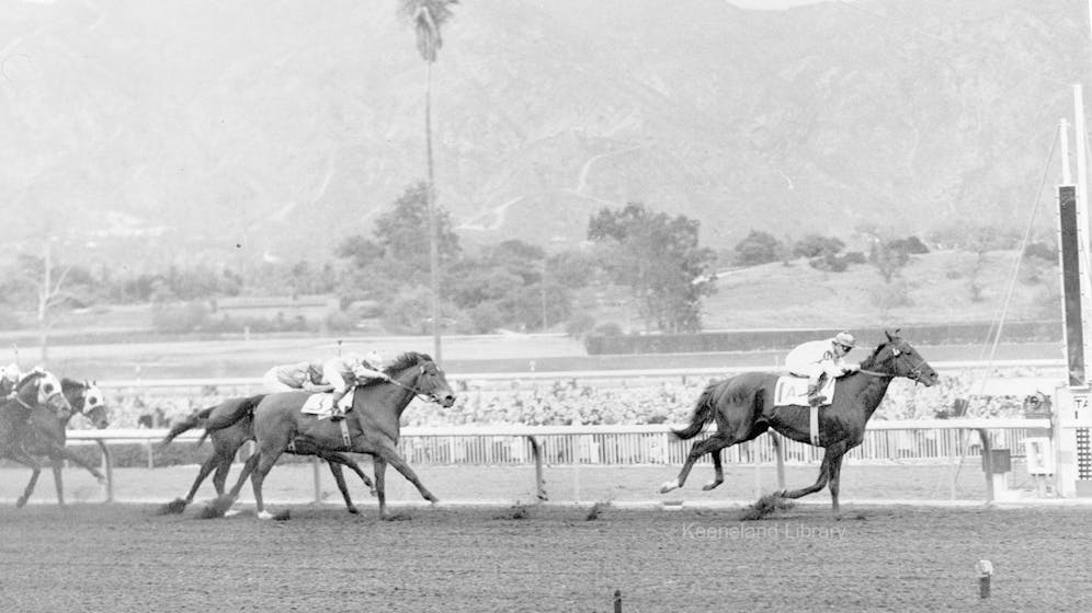 True Crime in Horse Racing: What Happened to 'Red' McDaniel? | TwinSpires