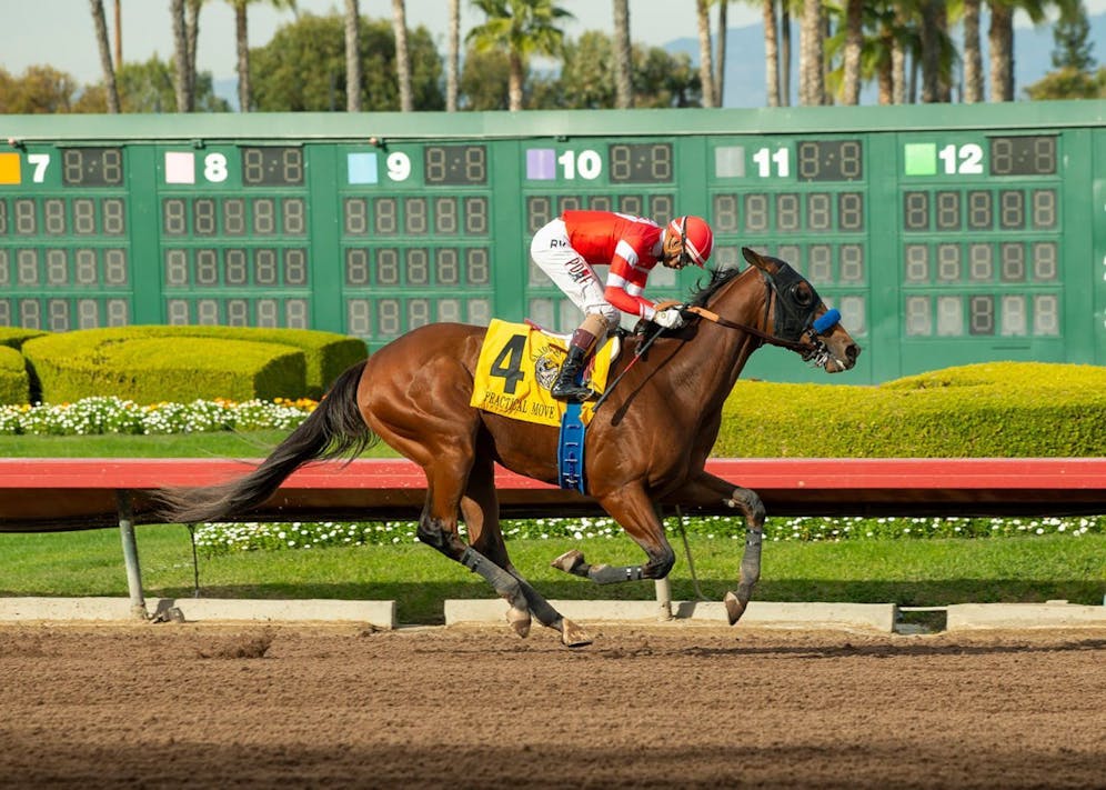Kentucky Derby pedigree profile: Practical Move | TwinSpires