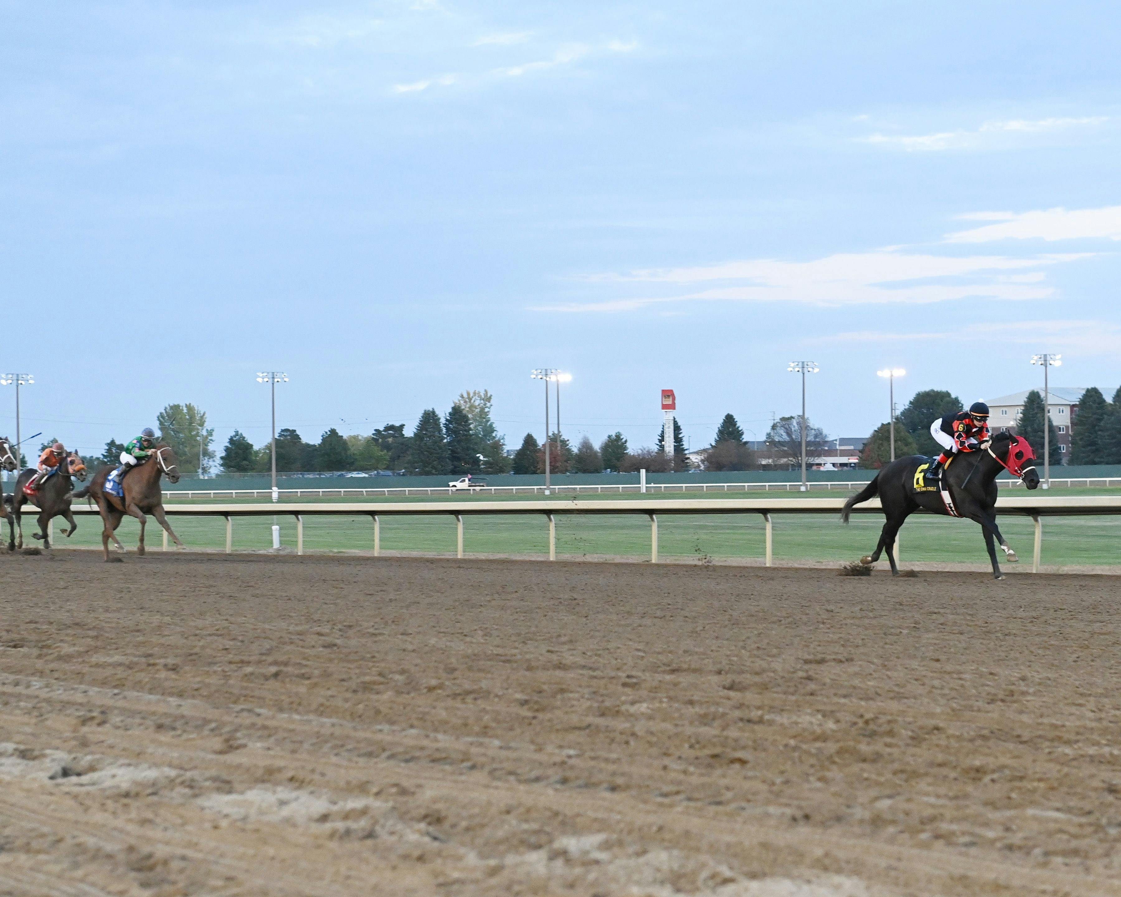 2023 Cornhusker H. (G3) exotics plays and field analysis | TwinSpires