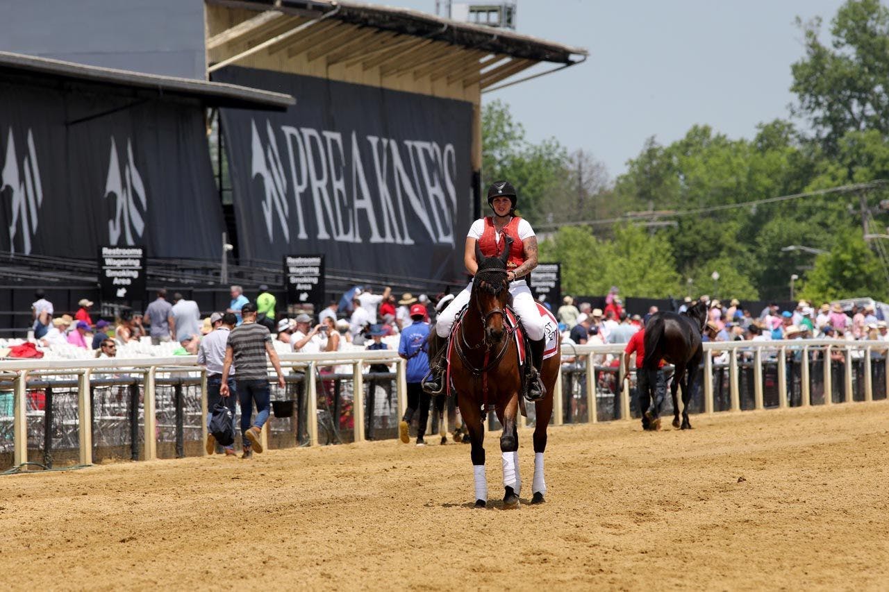 Spot plays and Pick 3 for Preakness Stakes card May 20 | TwinSpires