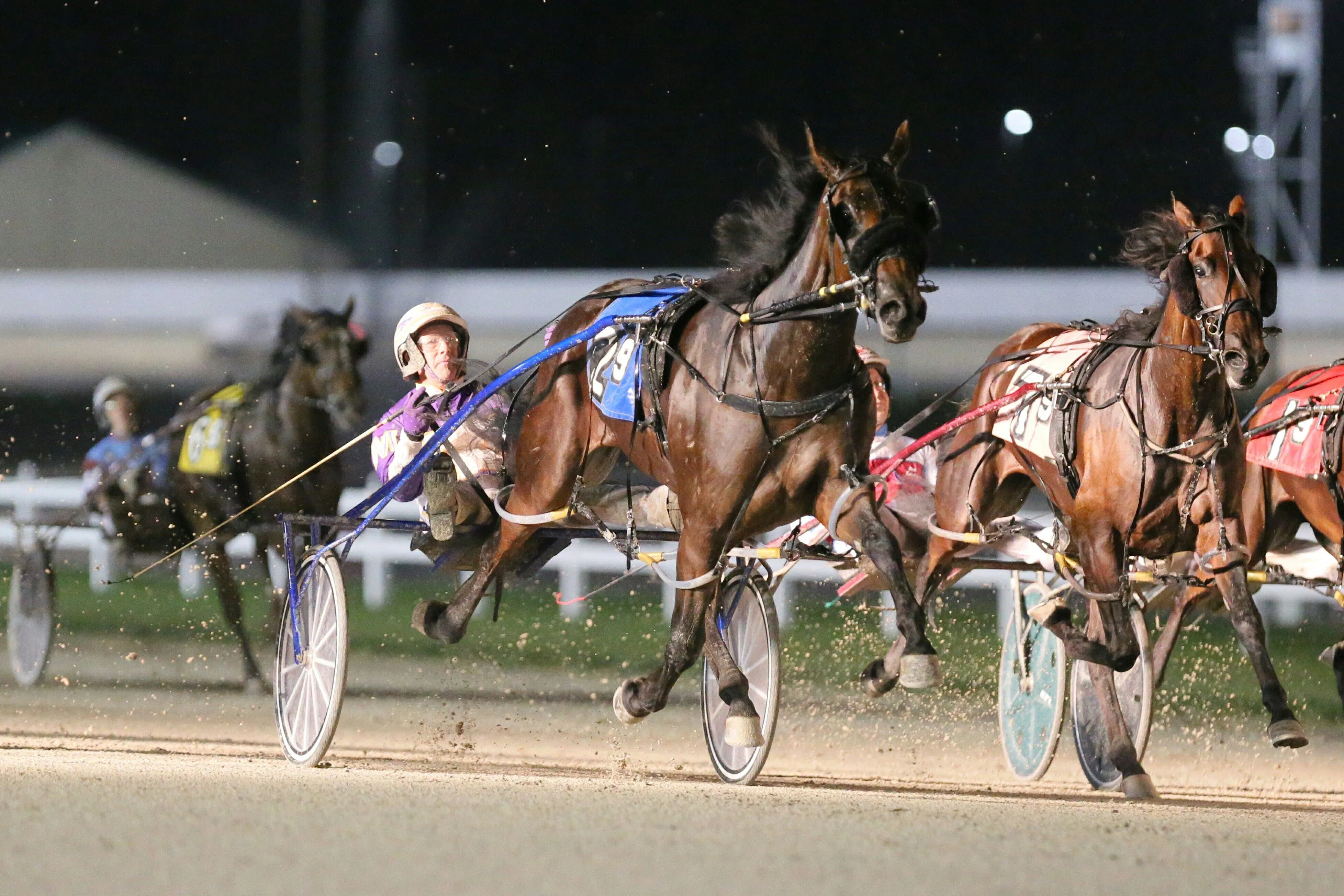 Harness racing: Meadowlands Pick 5 contenders for Saturday | TwinSpires