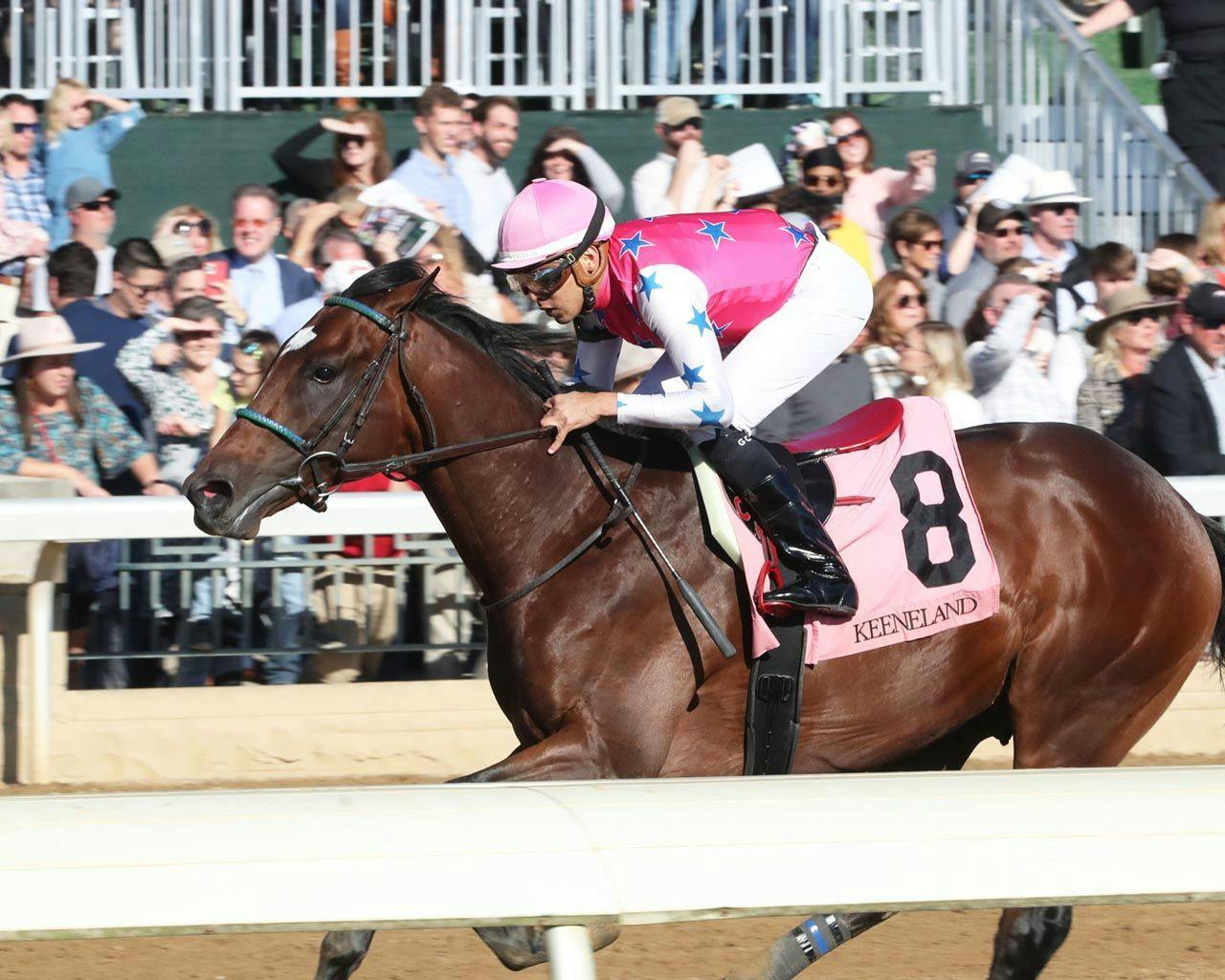 How to bet the 2023 Leonatus Stakes | TwinSpires