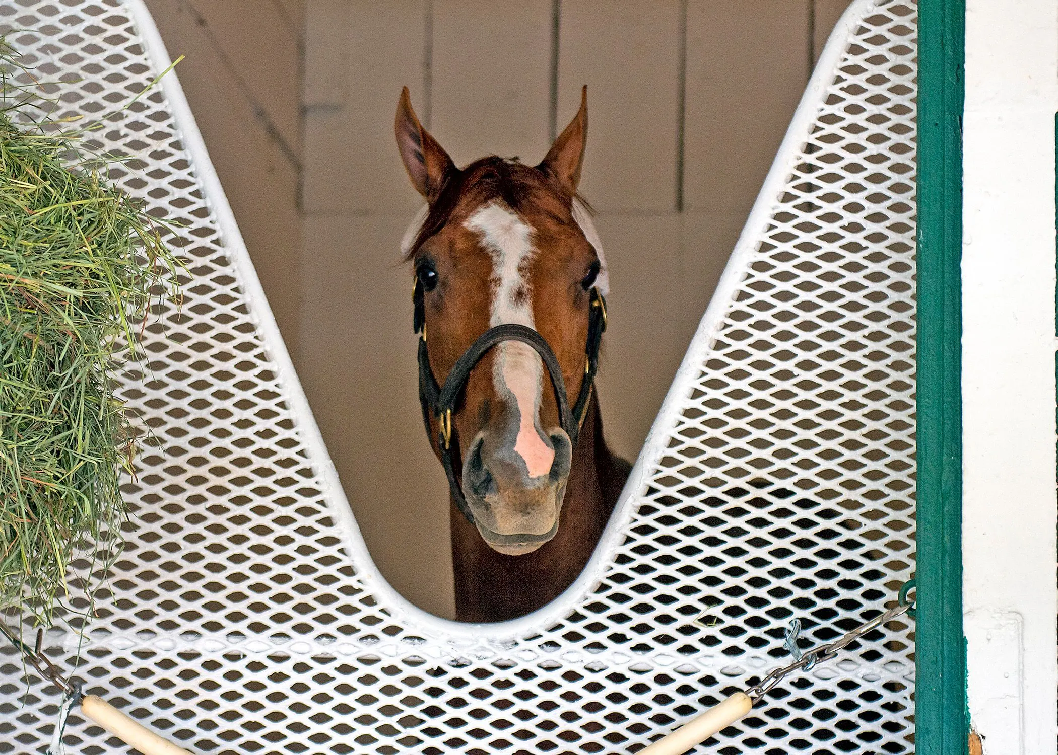 Pimlico track update for May 11 | TwinSpires