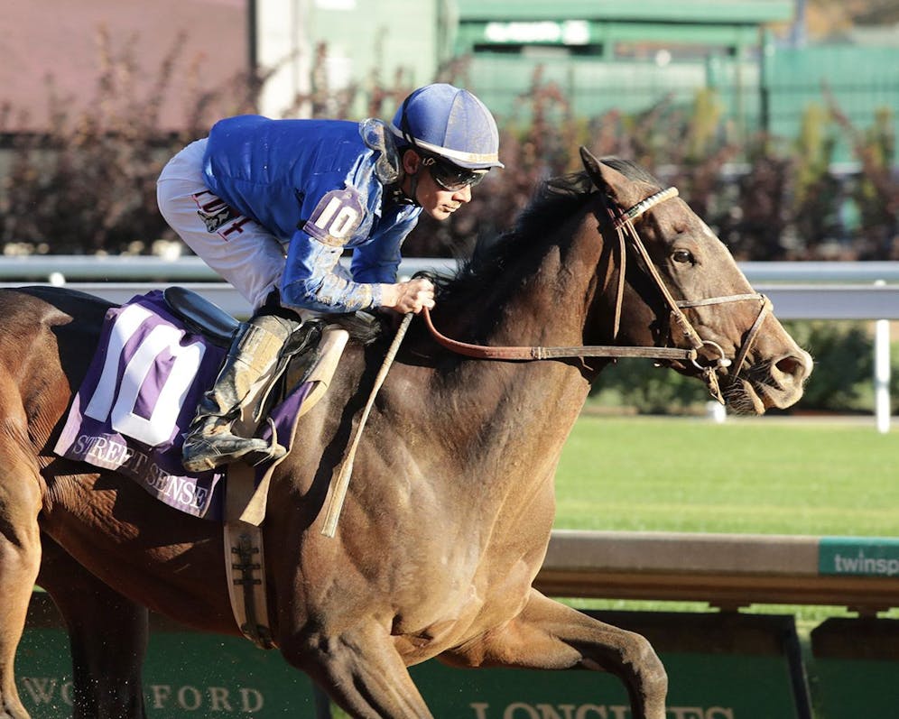 Kentucky Derby pedigree profile: Sovereignty | TwinSpires