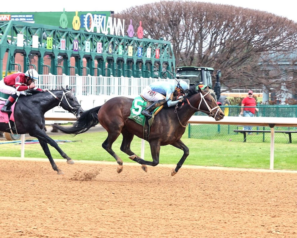 Horse Racing This Weekend: Key Races, Top Horses & Best Bets | TwinSpires