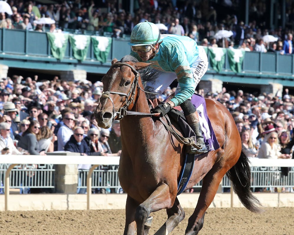 Meet the Contenders: 2026 Lecomte Stakes | TwinSpires