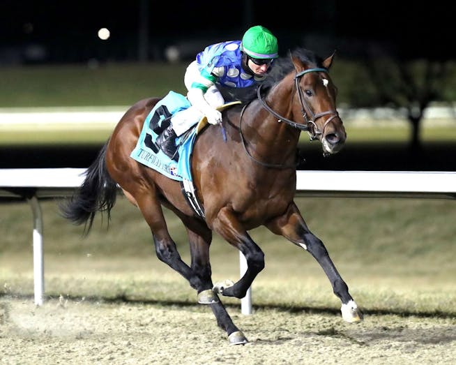 Meet the Contenders: 2026 John Battaglia Memorial Stakes | TwinSpires