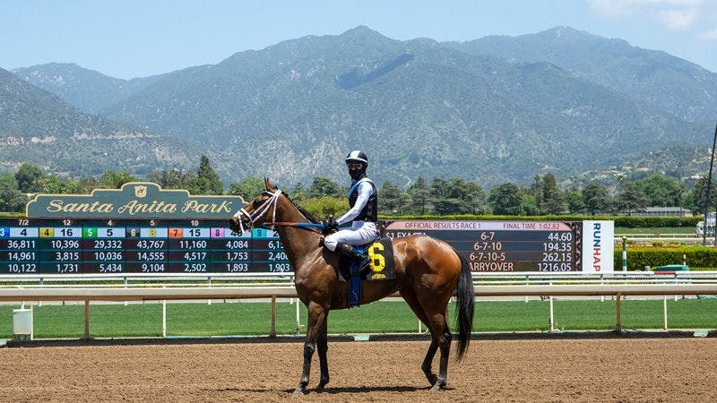 How to bet the Affirmed Stakes | TwinSpires
