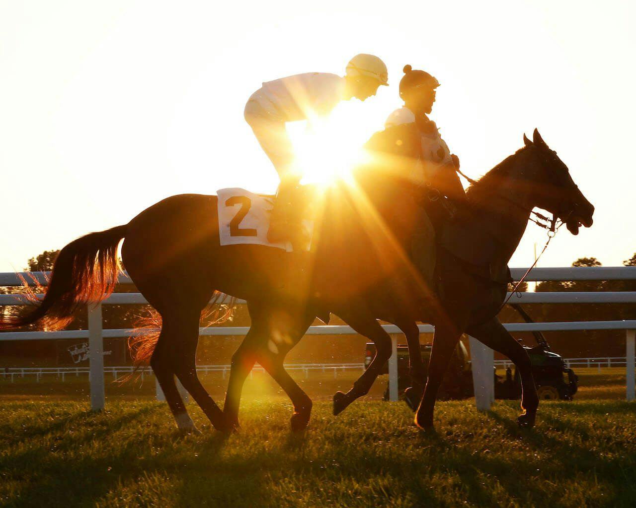 Trackside: 2024 Kentucky Downs horse racing all access | TwinSpires