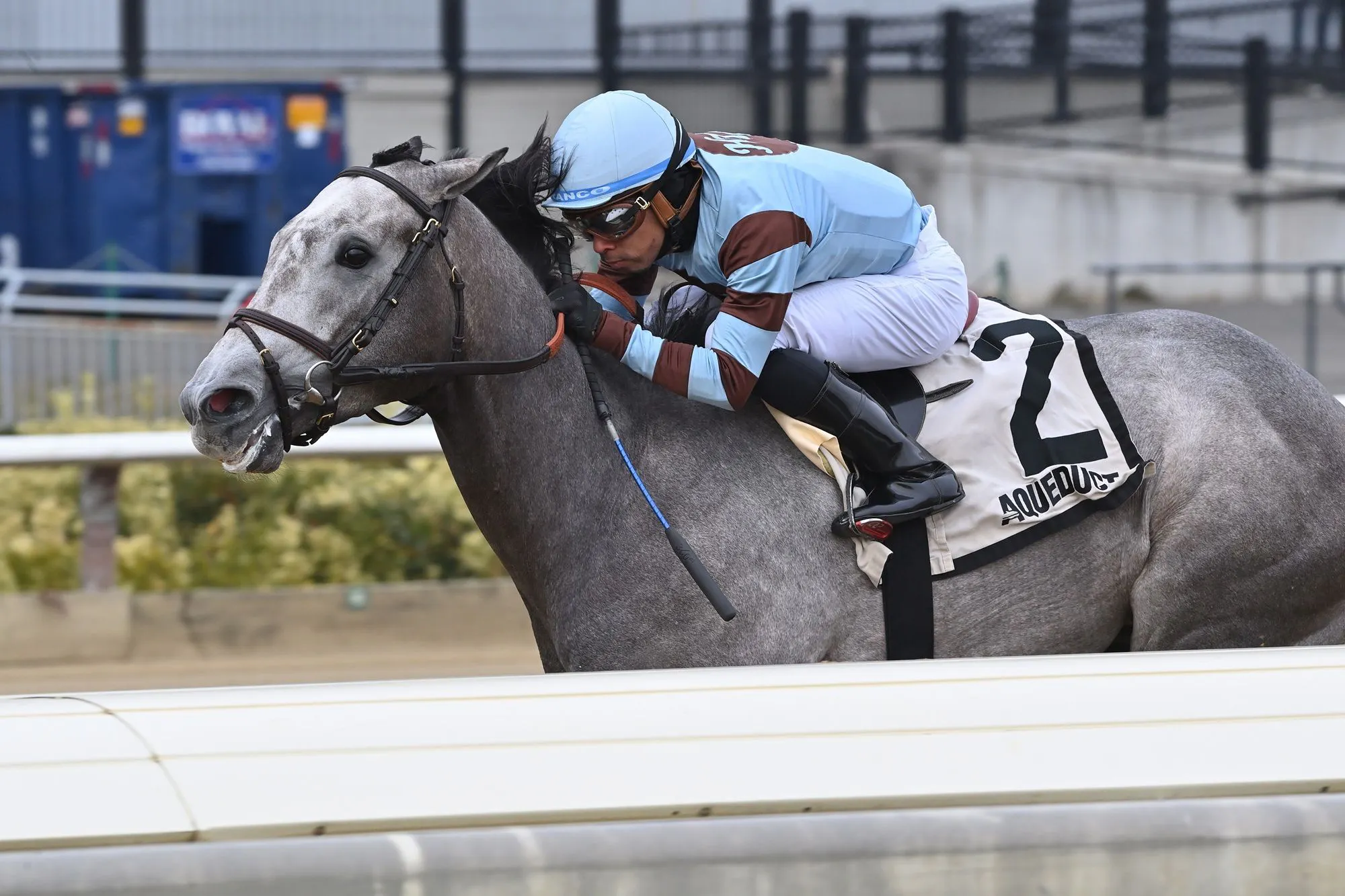 Meet the Contenders: 2026 Withers Stakes | TwinSpires