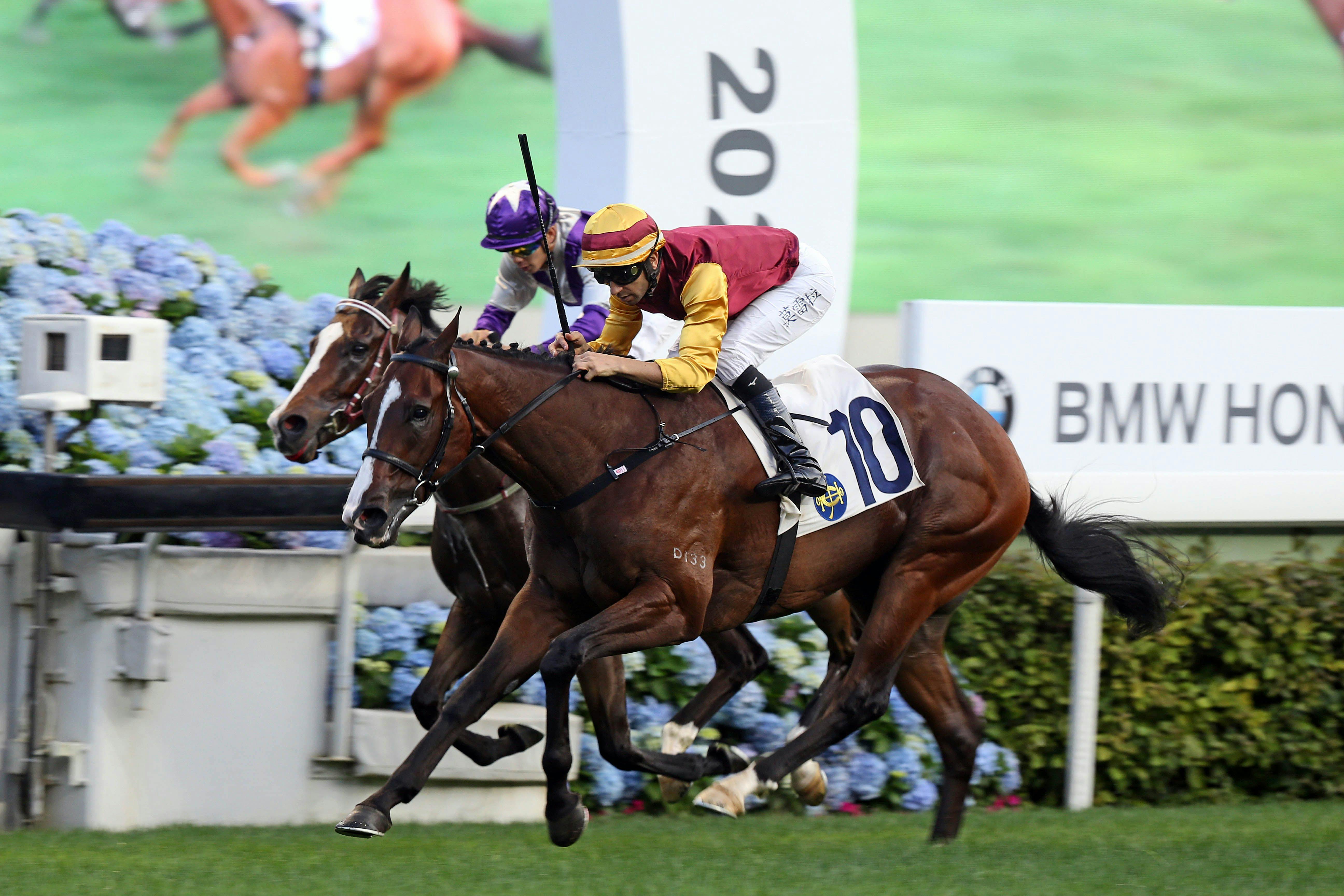 Sha Tin Betting Guide 2022-23 | TwinSpires