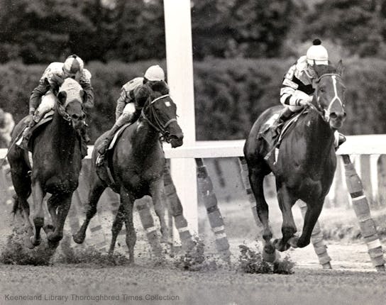 The Heart That Wears the Crown: Seattle Slew | TwinSpires