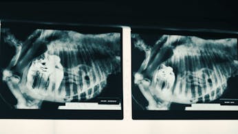 How has the winning time of the KY Derby changed over time? | TwinSpires