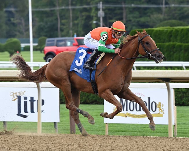 Horses to follow in 2025: Senza Parole | TwinSpires