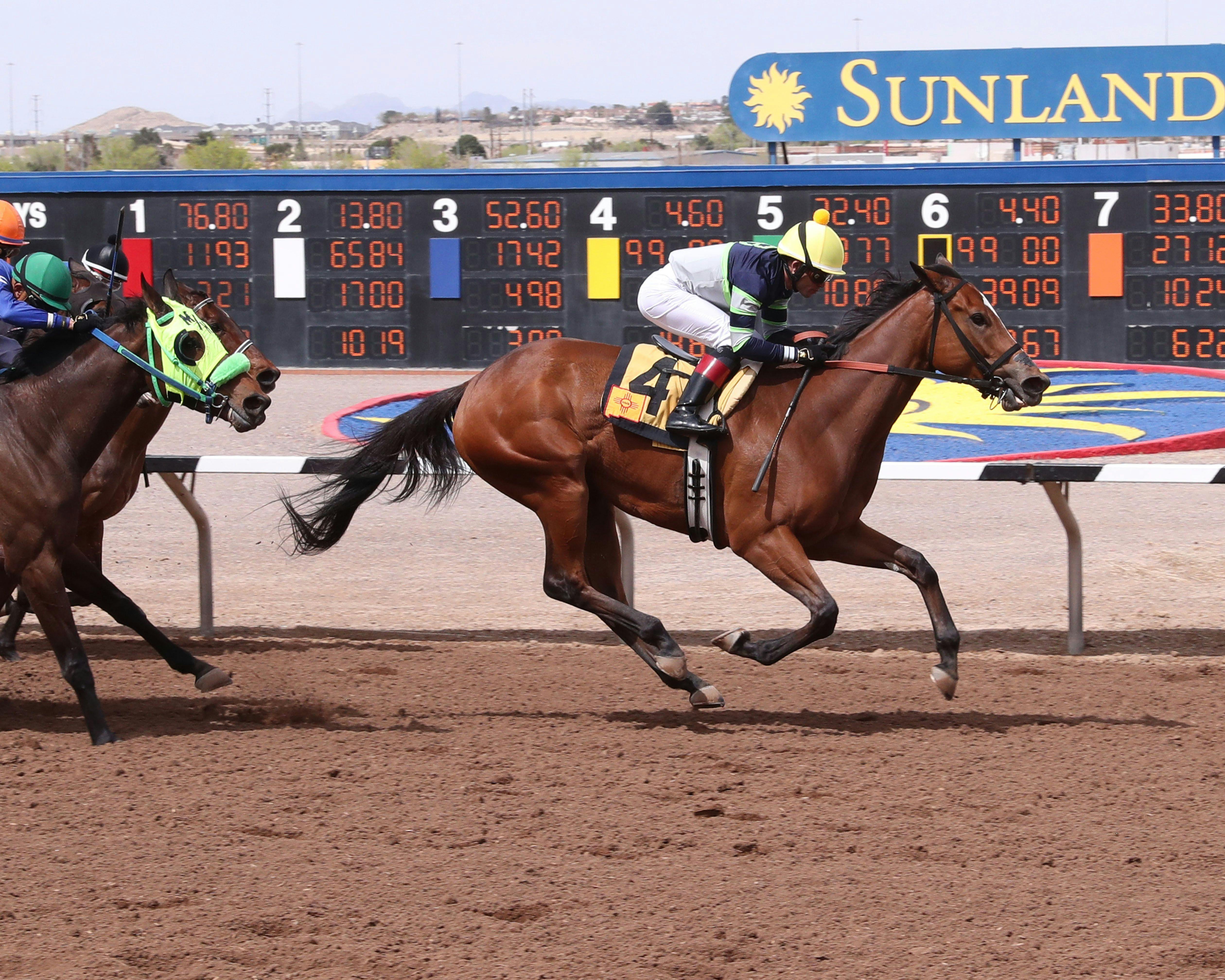 Best Bets and Quick Picks: Exacta for Riley Allison Derby | TwinSpires