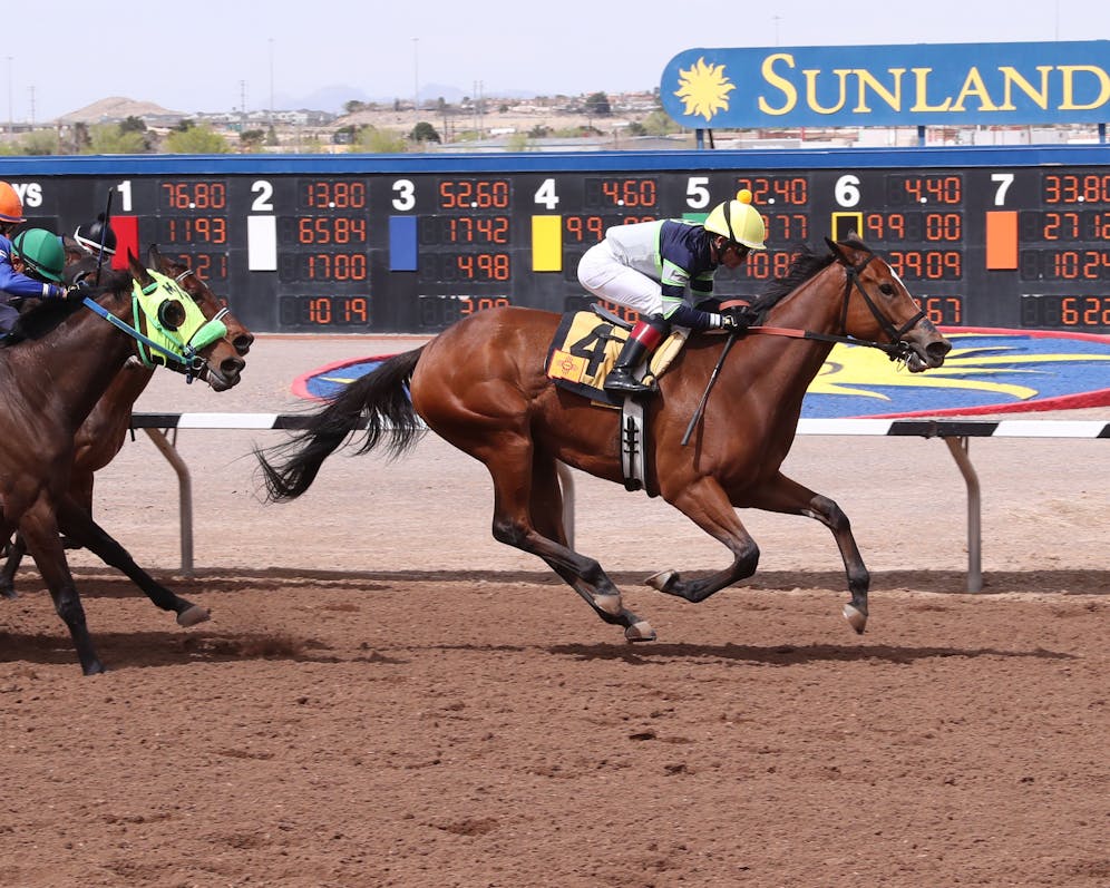 Today's Best Horse Racing Bets | TwinSpires