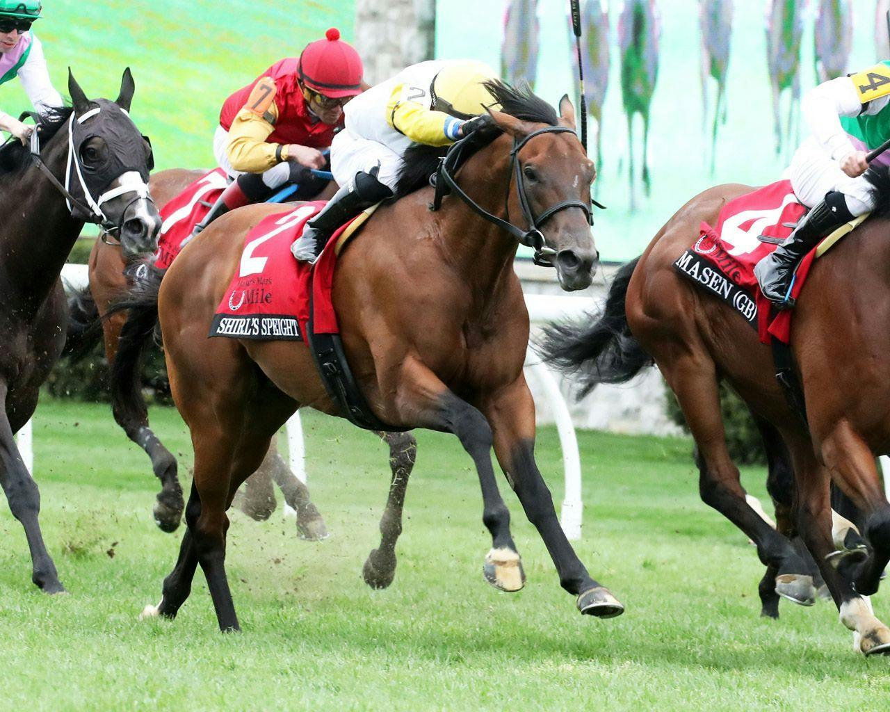 The Jury: Bets and fades for April 14 | TwinSpires