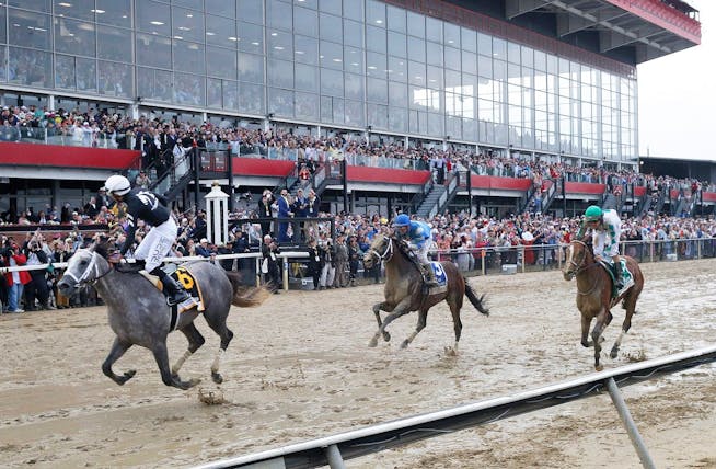 LIVE 2025 Black-Eyed Susan: Odds, picks, & handicapping | TwinSpires