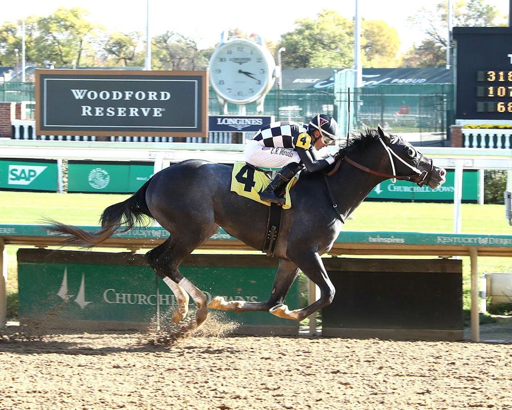 Kentucky Derby pedigree profile: Speed King | TwinSpires