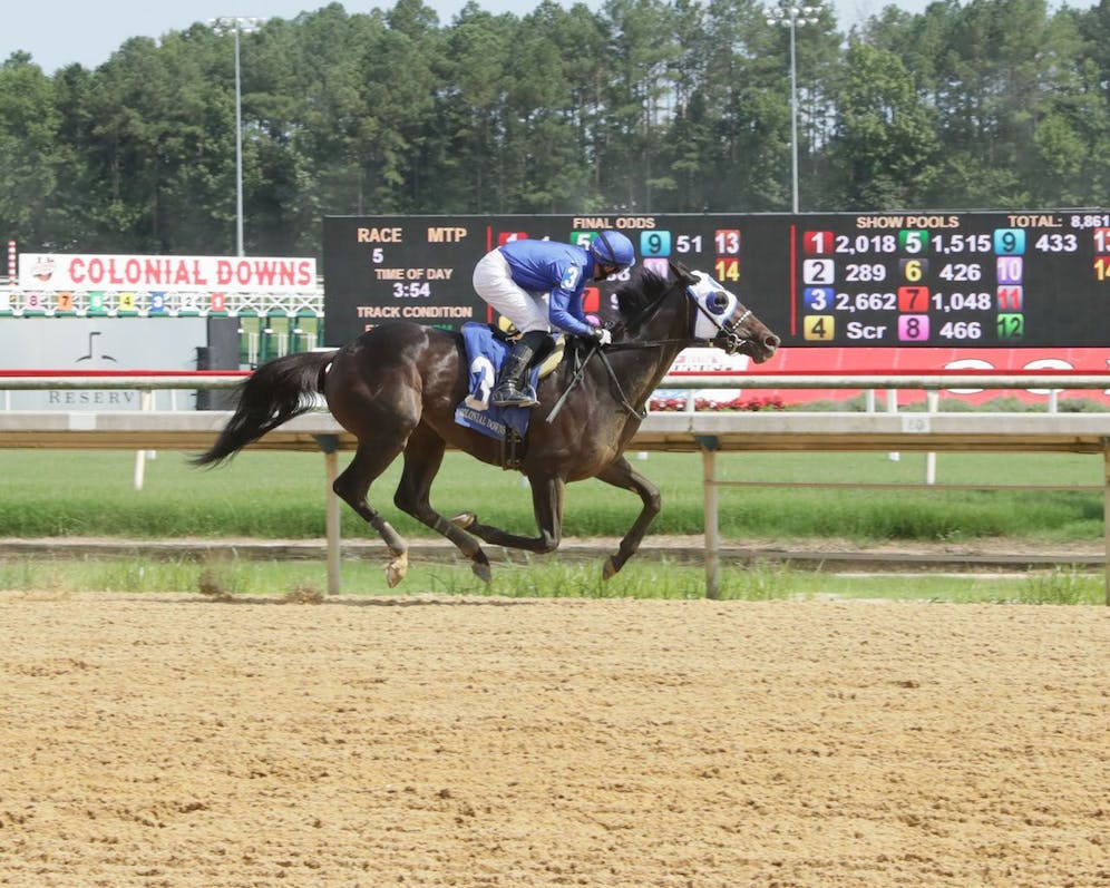 Catching My Eye at Colonial Downs Week 3 | TwinSpires