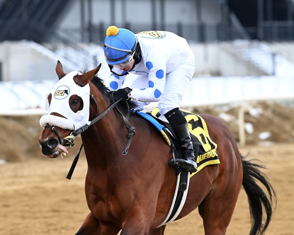 The 2026 Peter Pan Stakes Tipsheet | TwinSpires
