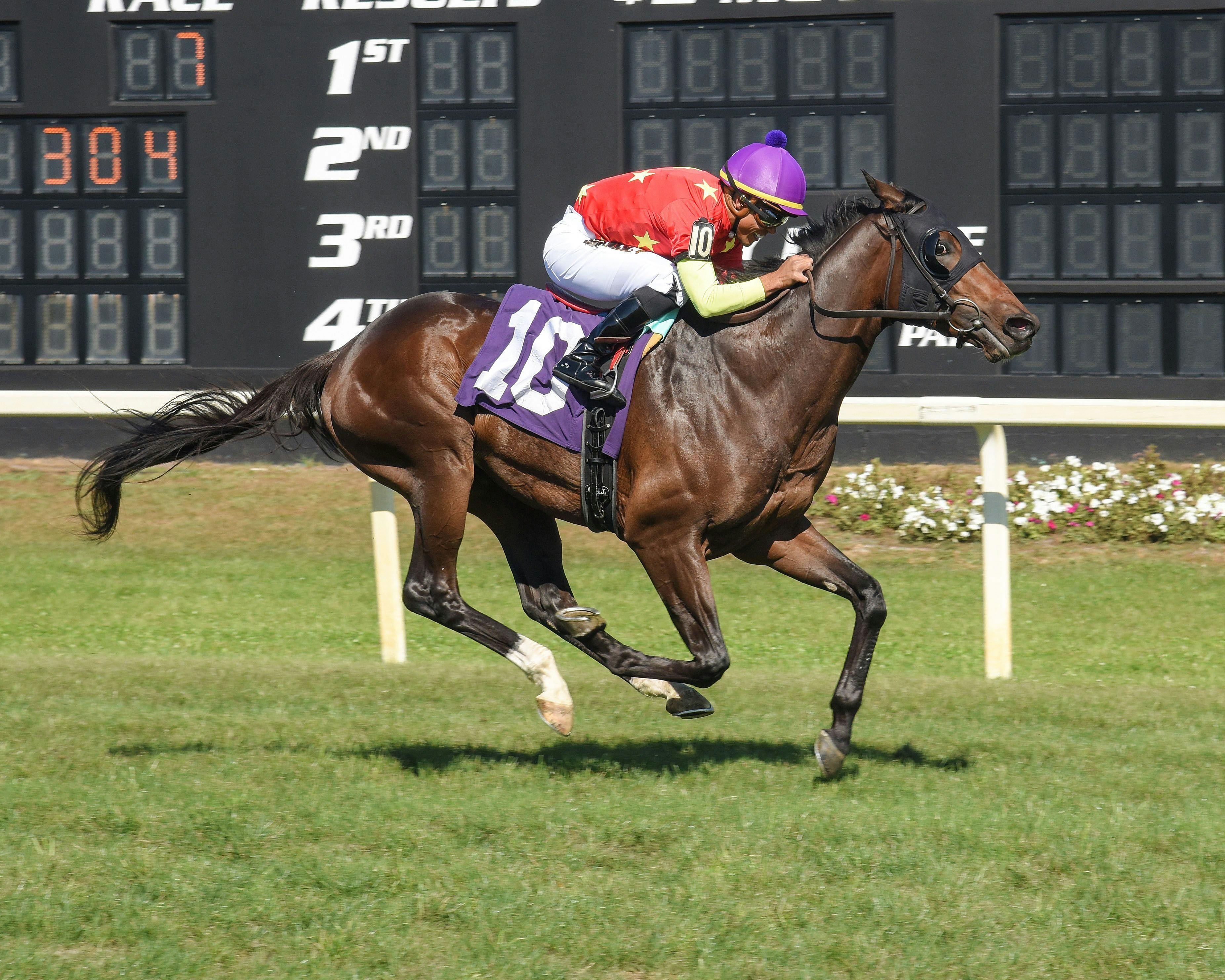 Pedigree notebook: Talk of the Nation another one for Zenyat | TwinSpires