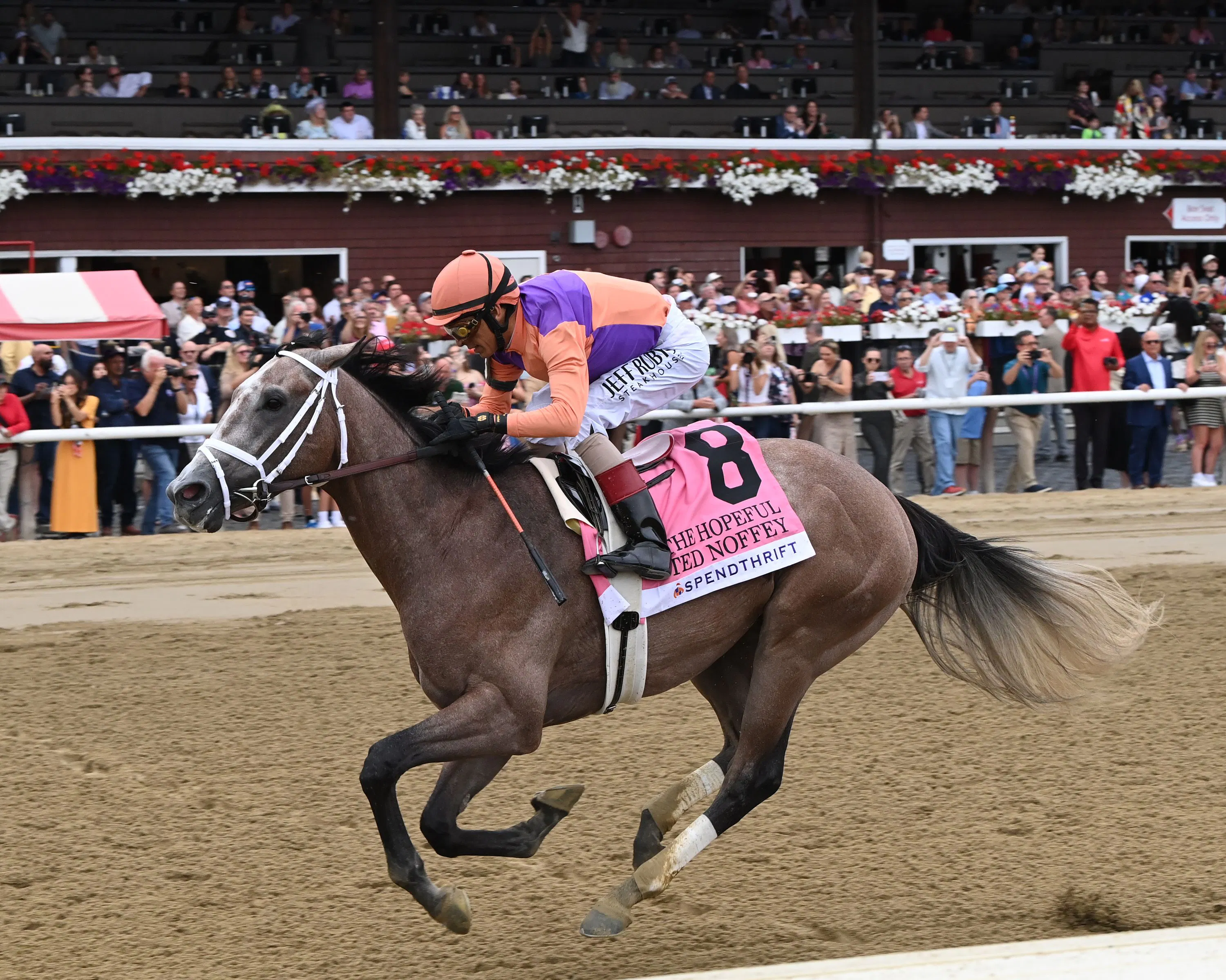 Meet the Contenders: 2025 Breeders' Futurity | TwinSpires