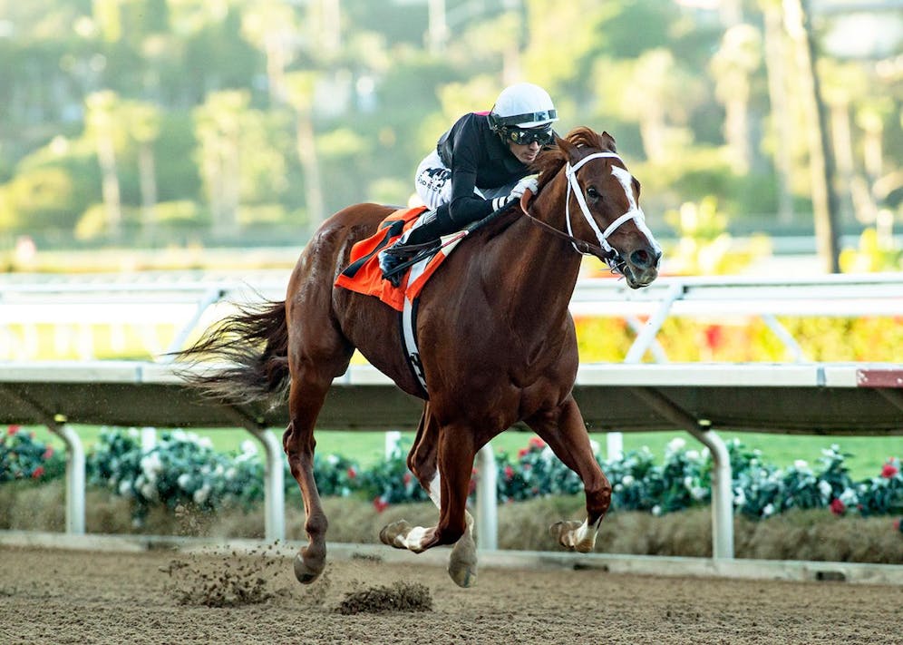 Racing Roundtable: Jim Dandy, The Chosen Vron, and more | TwinSpires