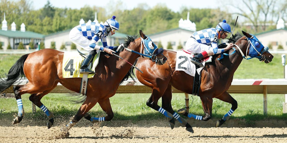 Today's Best Horse Racing Bets, Tips and Predictions | TwinSpires