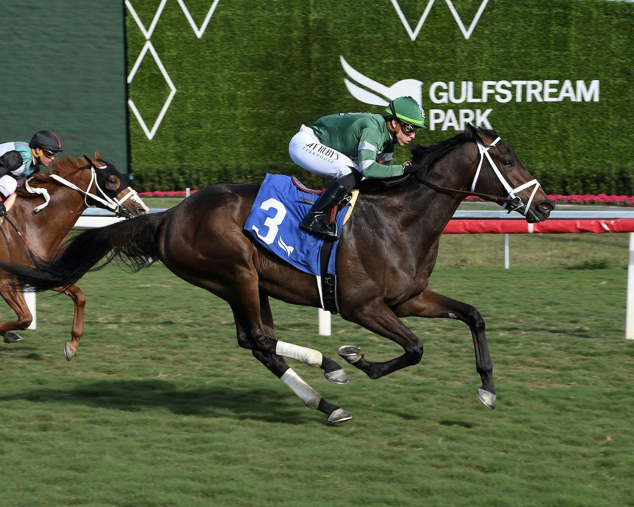 Meet the Contenders: 2024 Jeff Ruby Stakes | TwinSpires