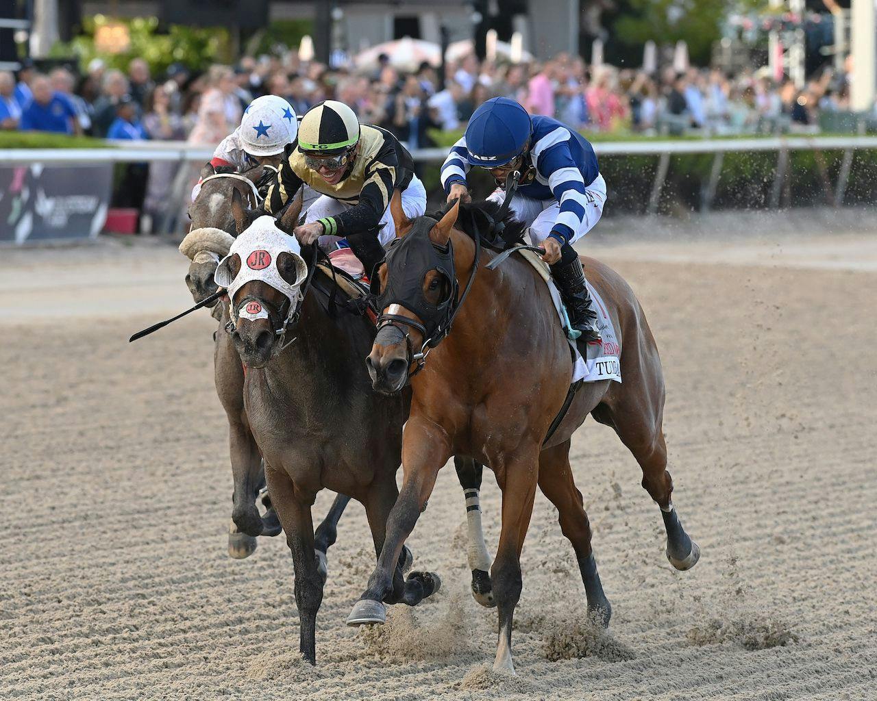 How to bet the 2024 Gulfstream Park Mile Stakes | TwinSpires