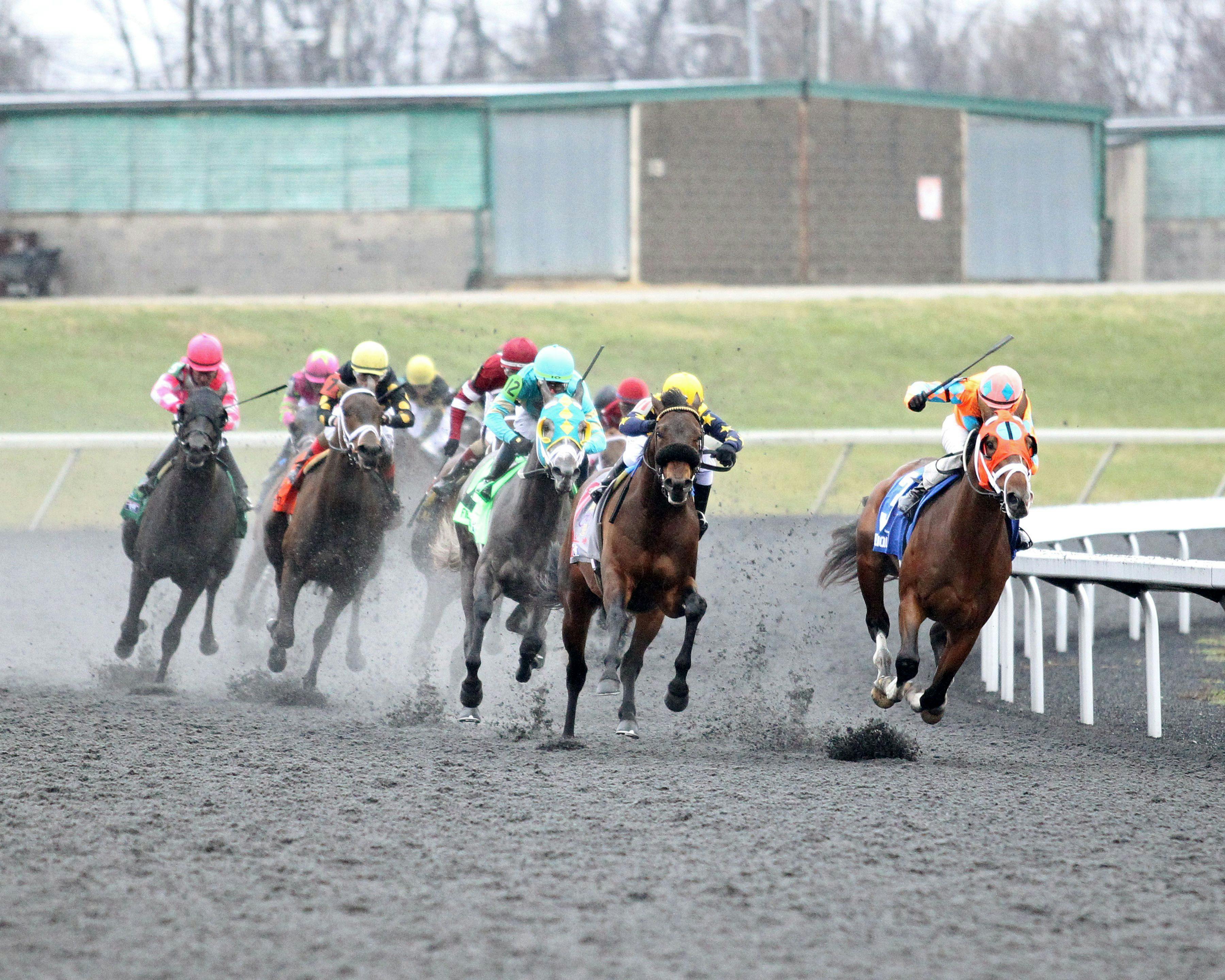 Turfway Park: Horse racing pick of the day for Dec. 9 | TwinSpires