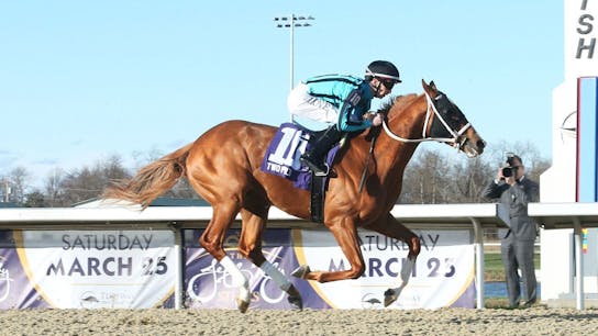 Kentucky Derby pedigree profile: Two Phil's | TwinSpires