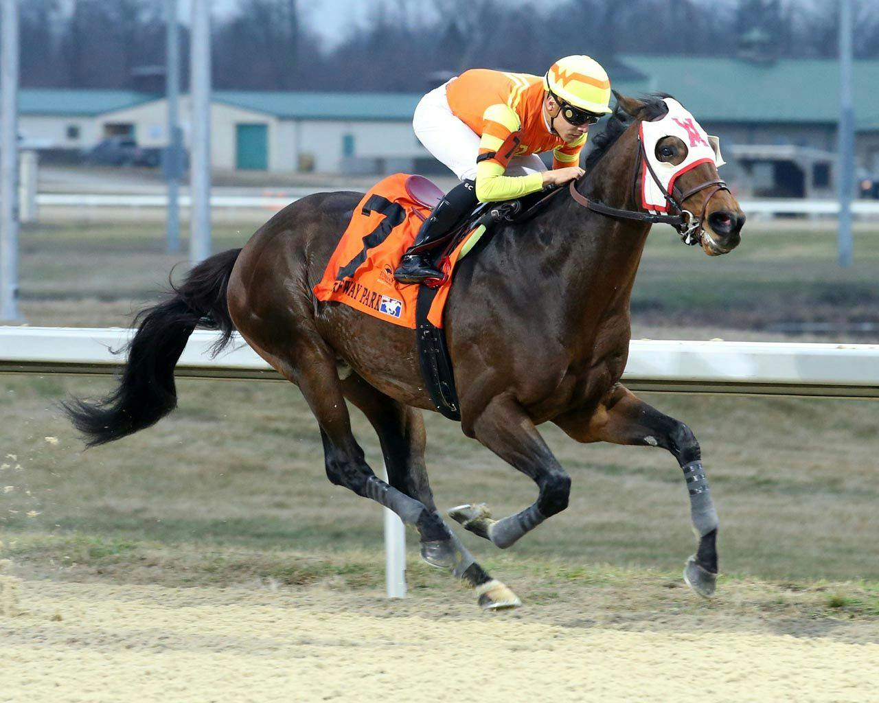 Exotics Plays for the 2023 Forego Stakes at Turfway Park | TwinSpires