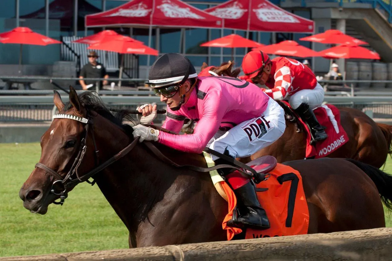 Meet the Contenders: 2023 Pegasus World Cup Filly and Mare T | TwinSpires