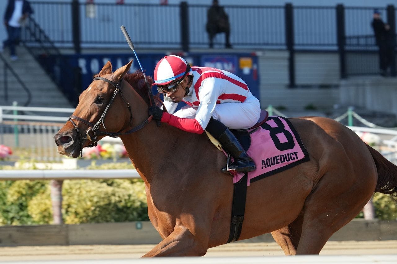 How to bet the Ladies Stakes | TwinSpires
