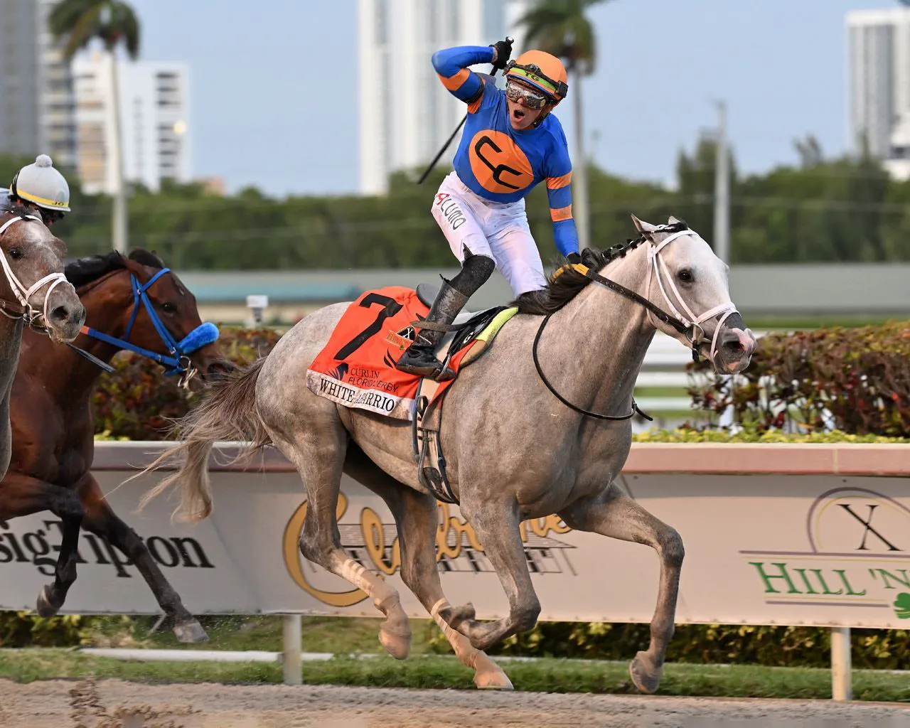 Aqueduct: Stakes Spot Plays for April 8 | TwinSpires