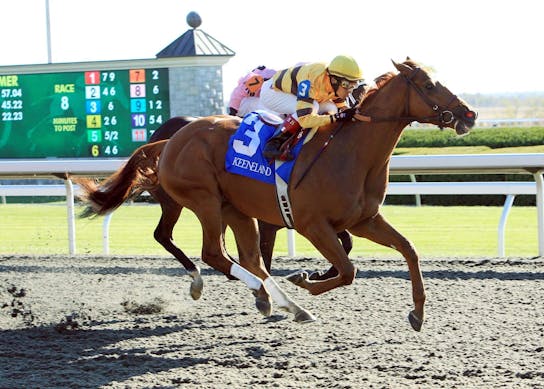 The Science of Horse Racing: Track Surfaces | TwinSpires