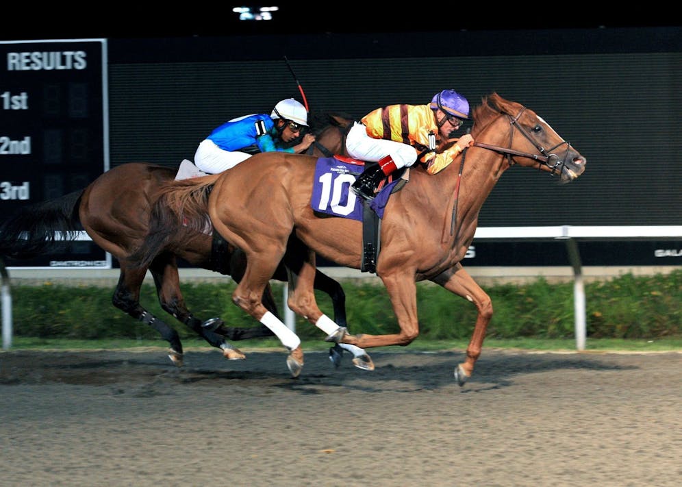 The Science of Horse Racing: Track Surfaces | TwinSpires