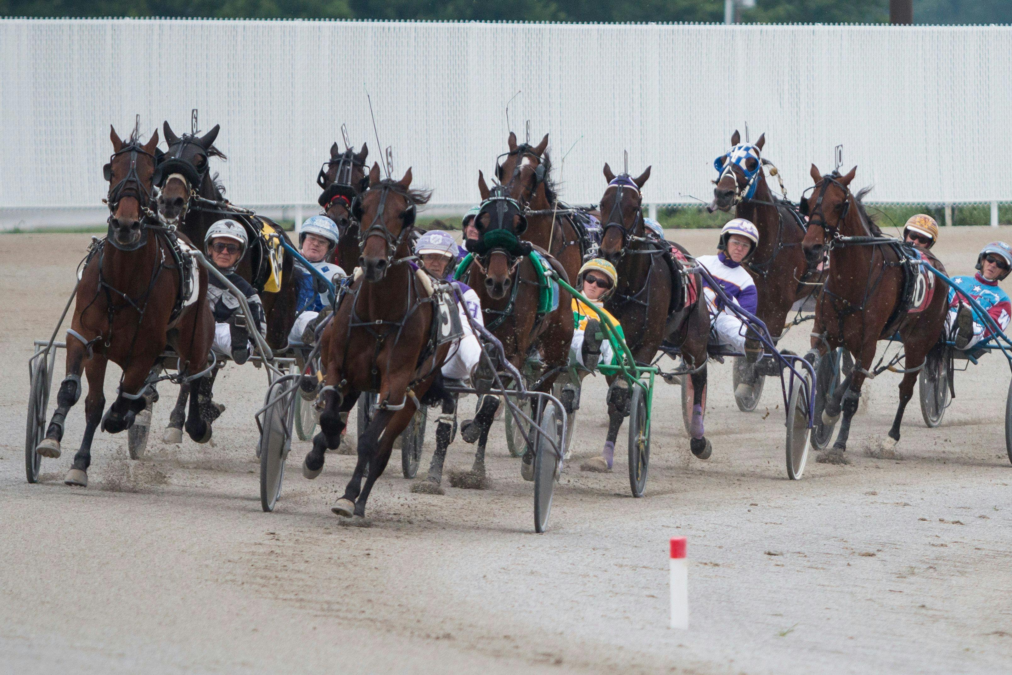 HARNESS RACING: Matchmakers Sweep; Faves Swarm | TwinSpires