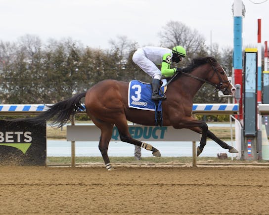 Top Winning Brisnet Speed Ratings for 2022 | TwinSpires