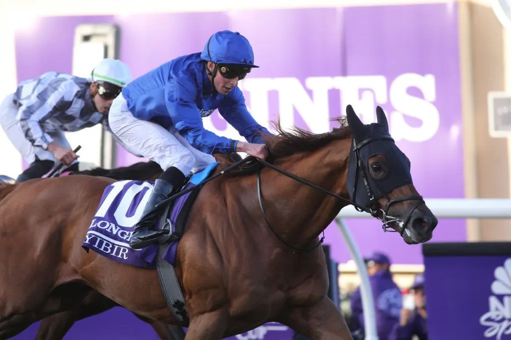 Betting with, and against, Yibir in the Man o' War Stakes | TwinSpires