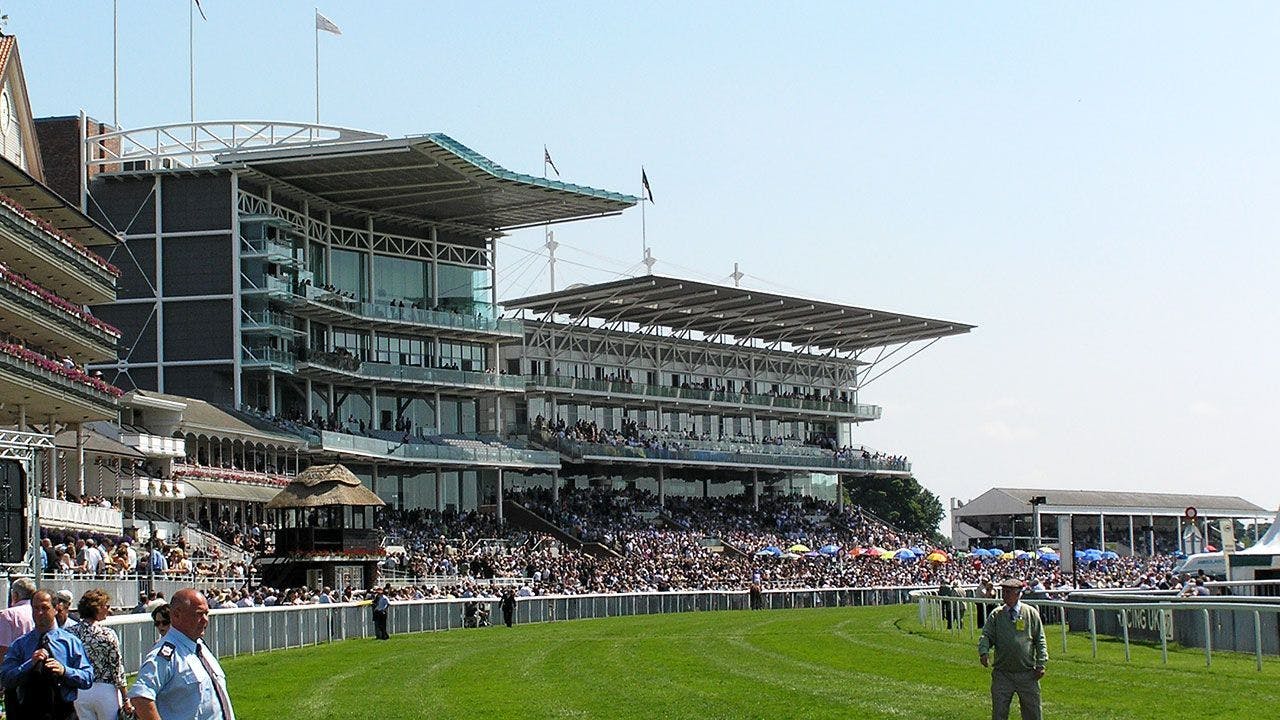 British Spot Plays: York for Aug. 22 | TwinSpires