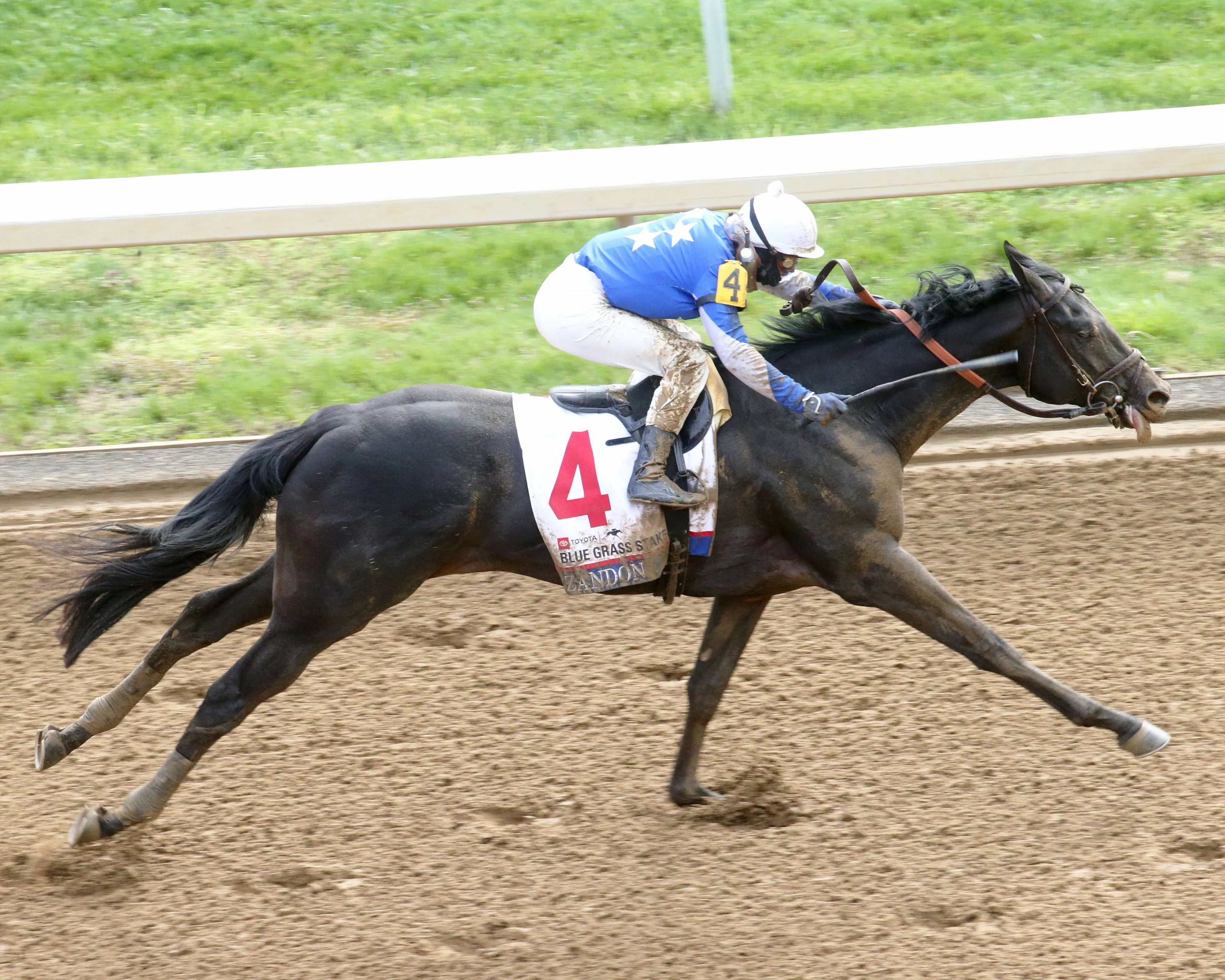 Aqueduct: How to bet With, and Against, Zandon in the 2022 C | TwinSpires