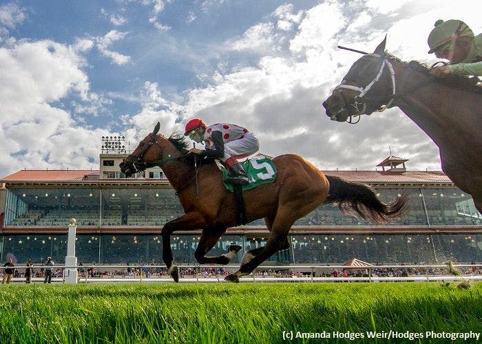 How to bet the Nearctic Stakes | TwinSpires