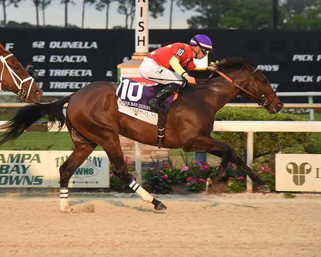 Kentucky Derby Pedigree Profile: Quip | TwinSpires